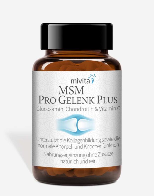 MSM Pro Gelenk Plus - Methylsulfonylmethan | ♥ BIODALOE
